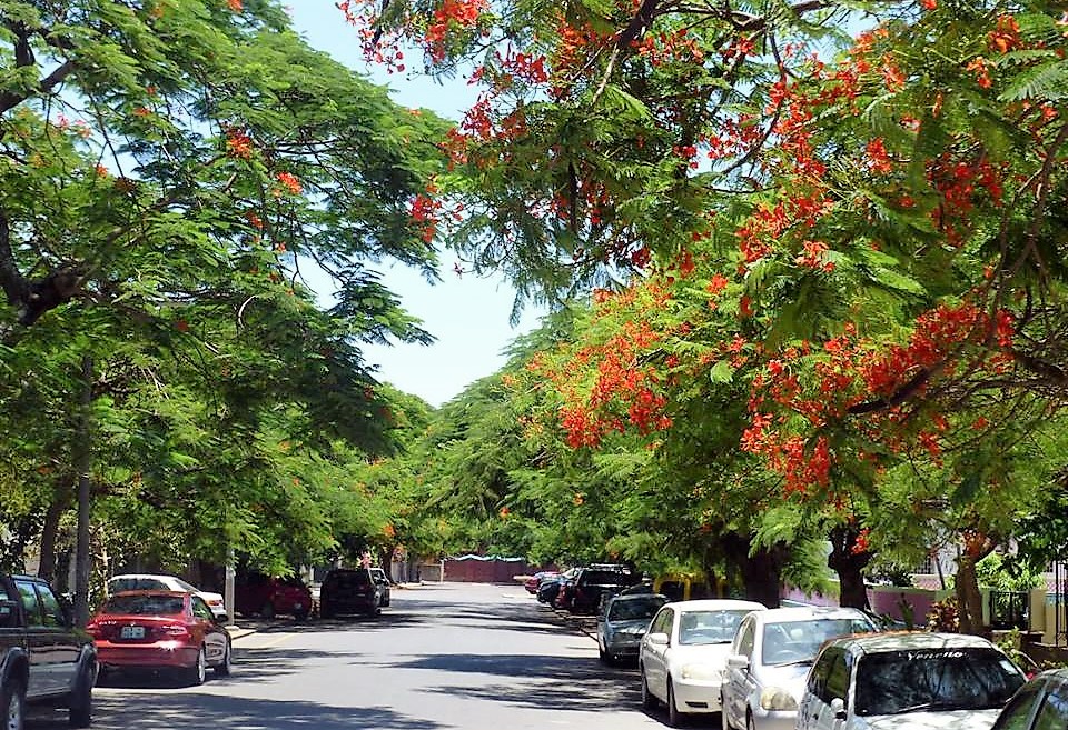 Relatos de uma viagem por terras de África (6) – “Caminhando por Maputo ...